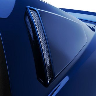 Custom Side Scoops | Carbon Fiber, Fiberglass, Urethane – CARiD.com