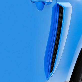 Custom Side Scoops | Carbon Fiber, Fiberglass, Urethane – CARiD.com