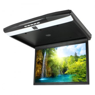 Car DVD Players, Monitors & Video Accessories at CARiD.com
