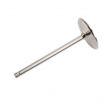 Engine Intake Valves | CARiD