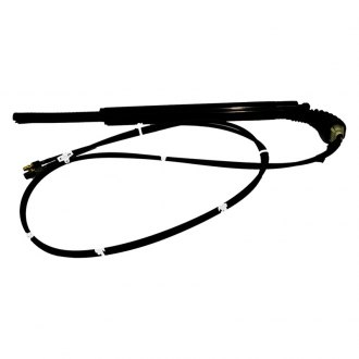 Power Liftgate Actuators | CARiD