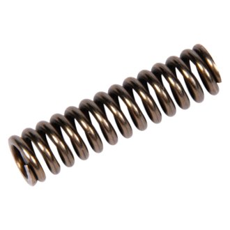 Manual Transmission Detent Springs - CARiD.com