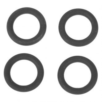 Fuel Injector Rail Seals - CARiD.com