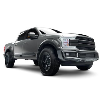 Ford F-150 Custom Full Body Kits - CARiD.com