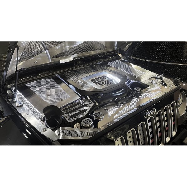 American Car Craft® 143012-RDL - Perforated Red Illuminated Radiator ...