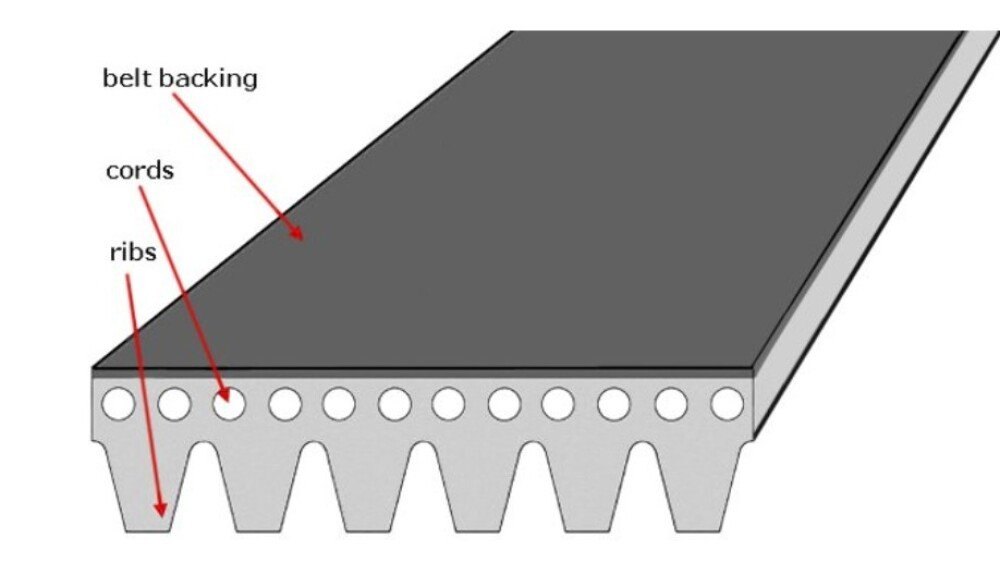 Fan Belt? Alternator Belt? Serpentine Belt? These Are the Differences ...