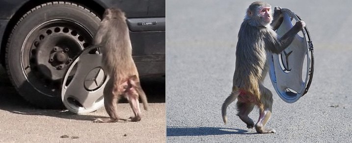 Factory Wheels | Glossary Of Terms