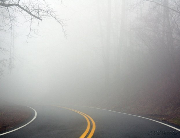 LED Fog Light Bulbs | Brighten Your View on Foggy Drives