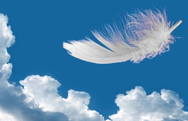 Lightweight Body Panels | Cut Pounds, Go Faster, Save Fuel