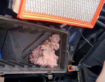 When Is It Time To Replace My Air Filter?