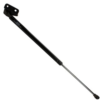 Body Door Lift Supports - CARiD.com