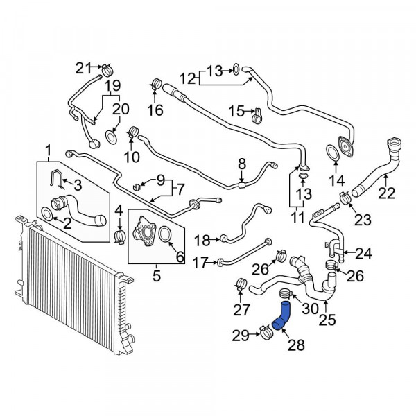 Audi OE 079121054E - Engine Coolant Pipe