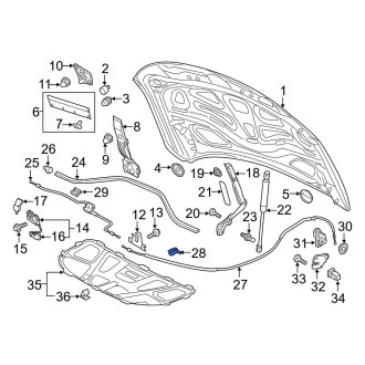 Audi Q4 e-tron Replacement Hoods | Hinges, Supports – CARiD.com