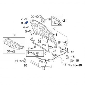Audi Q5 OEM Body Hoods | Carbon Fiber, Fiberglass — CARiD.com