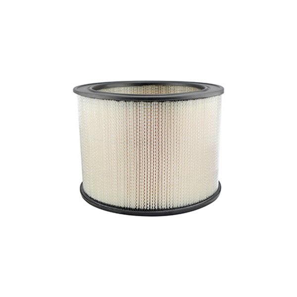 Baldwin Filters® PA638 - Air Filter Element