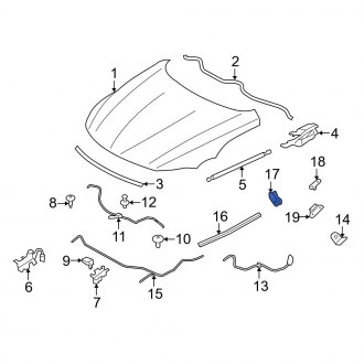 BMW Replacement Hood Moldings, Decals, Ornaments — CARiD.com
