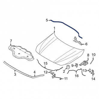 BMW Hood Weatherstripping Seals — CARiD.com