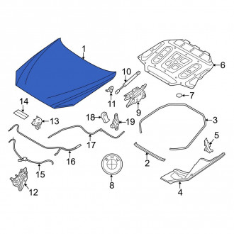 BMW 6-Series OEM Body Hoods | Carbon Fiber, Fiberglass — CARiD.com