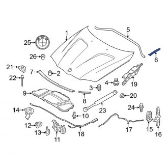 BMW Hood Weatherstripping Seals — CARiD.com