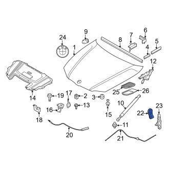 BMW OEM Auto Body Hoods | Carbon Fiber, Fiberglass, Steel — CARiD.com