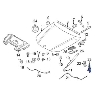 BMW X4 OEM Body Hoods - Carbon Fiber, Fiberglass | CARiD