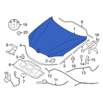 BMW X6 OEM Body Hoods | Carbon Fiber, Fiberglass — CARiD.com