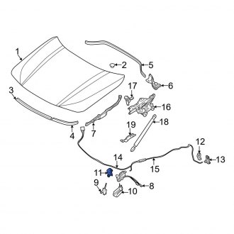 BMW X2 OEM Body Hoods | Carbon Fiber, Fiberglass — CARiD.com