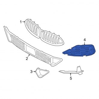 BMW OEM Grilles | Factory Billet, Mesh, LED Grilles — CARiD.com