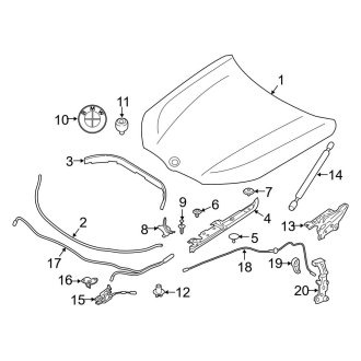 2022 BMW 8-Series Hood Hinges & Springs — CARiD.com