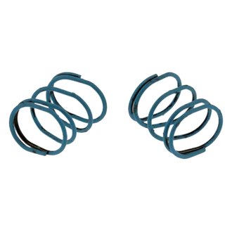 Parking Brake Strut Springs | CARiD