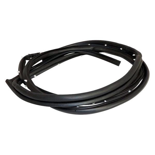 Crown® 55399214AF - Rear Passenger Side Door Weatherstrip