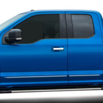 Ford F-150 Custom Body Side Moldings | CARiD