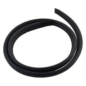 Side Window Seals | CARiD