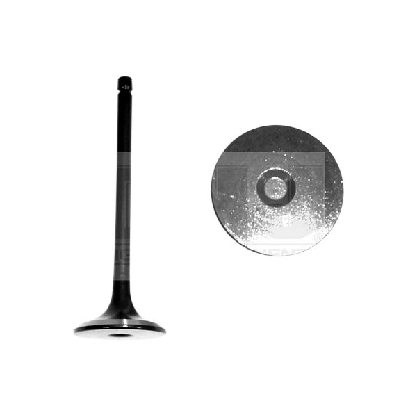 DNJ® EV526 - Exhaust Valve