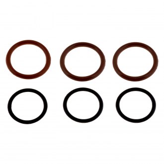 Distributor O-Rings | CARiD