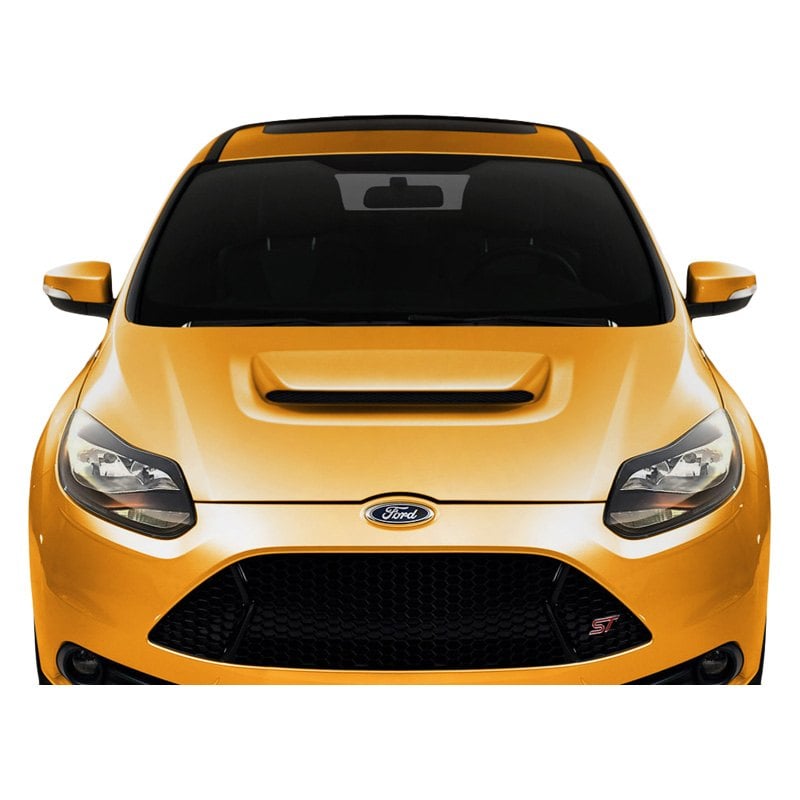2013 Ford Focus Custom Hoods | CARiD