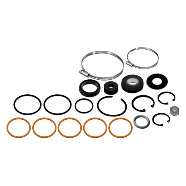 Edelmann® - Rack and Pinion Seal Kit