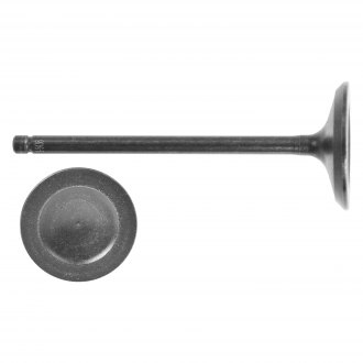 Ford Transit Valves & Valvetrain Components | CARiD