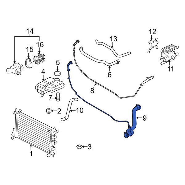 Ford OE 8S4Z8260A - Upper Radiator Coolant Hose