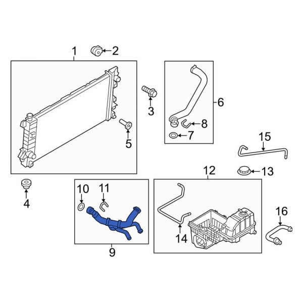 Ford OE BL3Z8286C - Lower Radiator Coolant Hose