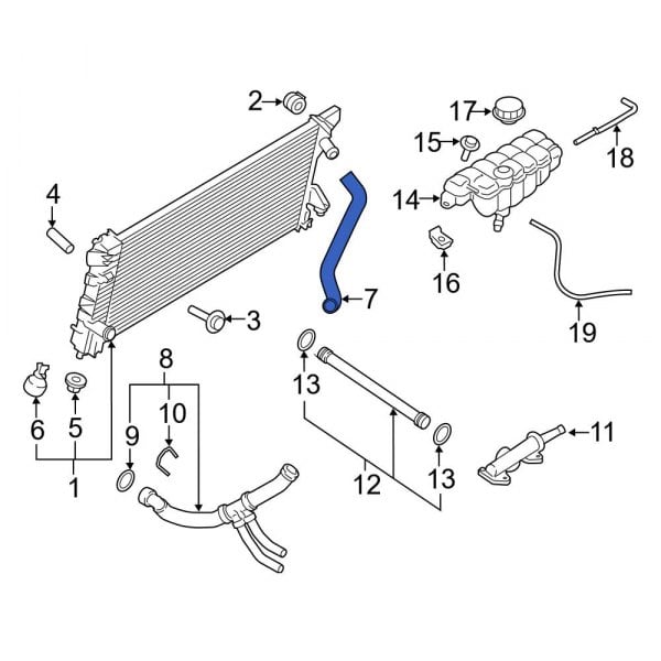 Ford OE HL3Z8260C - Upper Radiator Coolant Hose