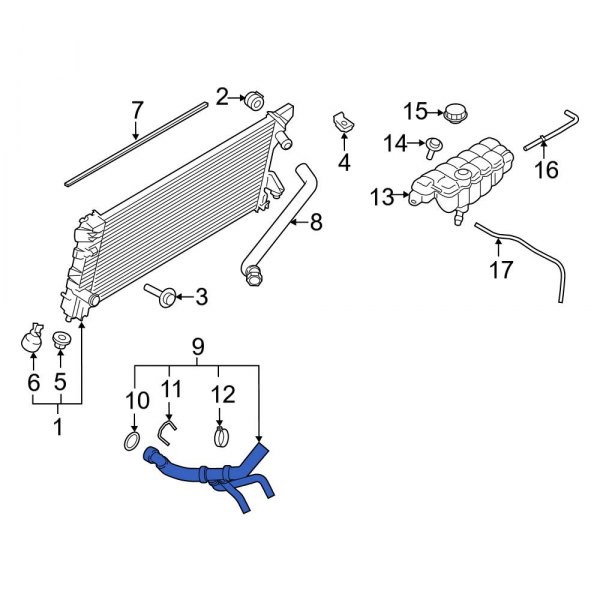Ford OE FL3Z8286C - Lower Radiator Coolant Hose