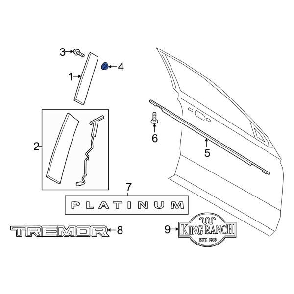 Ford OE W719007S300 - Door Applique Nut