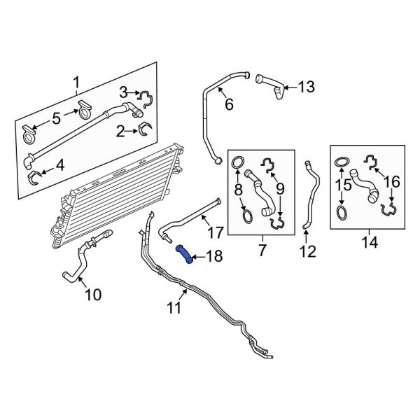 Ford OE BC3Z8A365A - Upper Radiator Coolant Hose