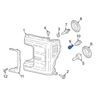 Ford OE™ Car Bulbs | CARiD