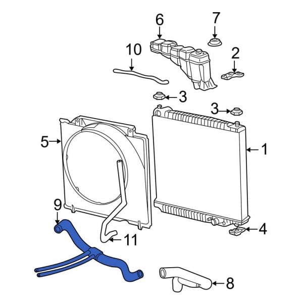Ford OE F81Z8286BA - Lower Radiator Coolant Hose