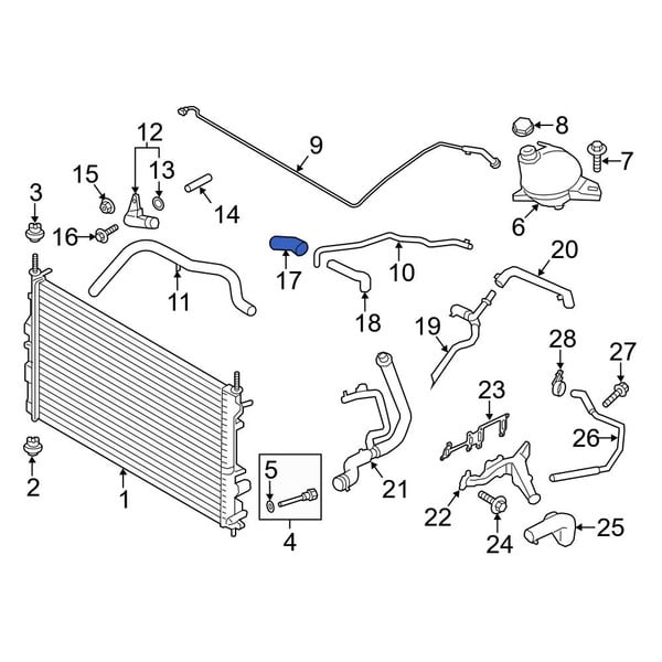 Ford OE CK4Z8260F - Upper Radiator Coolant Hose