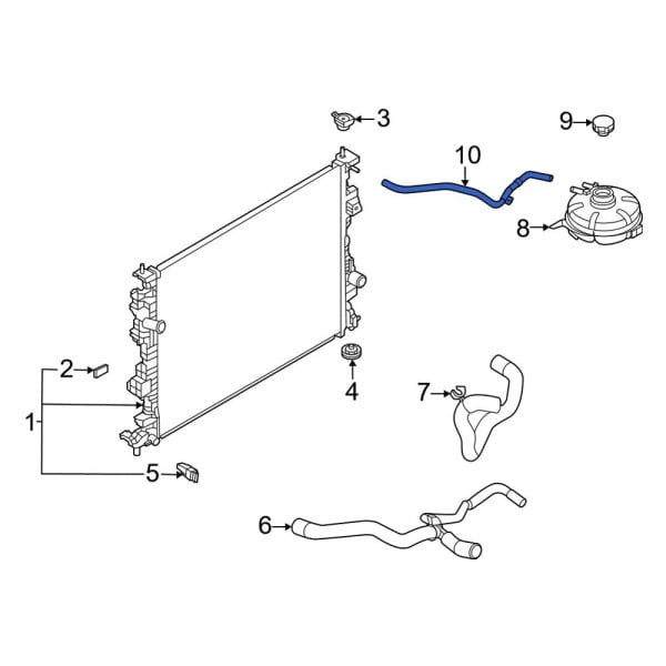 Ford OE LX6Z8075A - Engine Coolant Overflow Hose