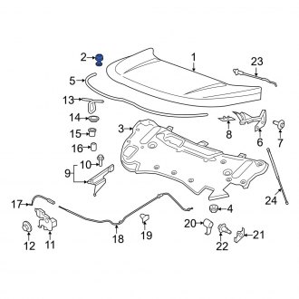 Ford Bronco OEM Body Hoods | Carbon Fiber, Fiberglass — CARiD.com