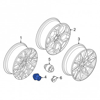 Ford F-150 Lightning OEM Wheels & Tires - Lug Nuts, TPMS Sensors | CARiD